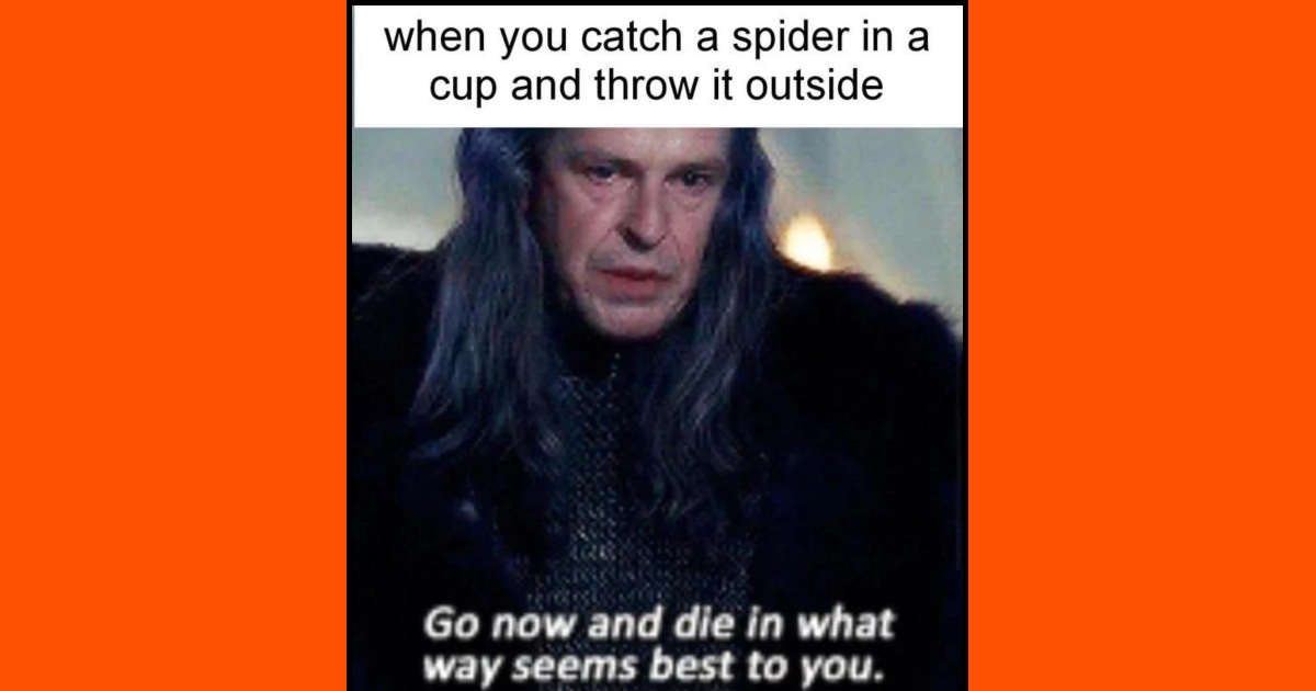 32 Memes That Are the Long and Short of It - Memebase - Funny Memes