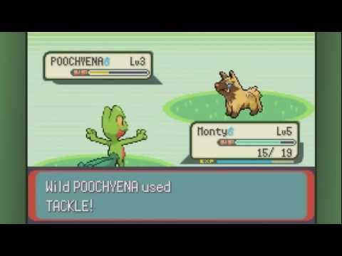 Pokémemes - treecko - Pokemon Memes - Pokémon, Pokémon GO - Cheezburger