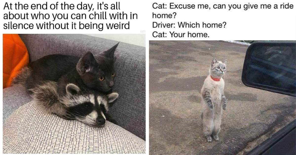 Wake Up And Enjoy A Steaming Cup Of Coffee With These Fresh And Funny ...