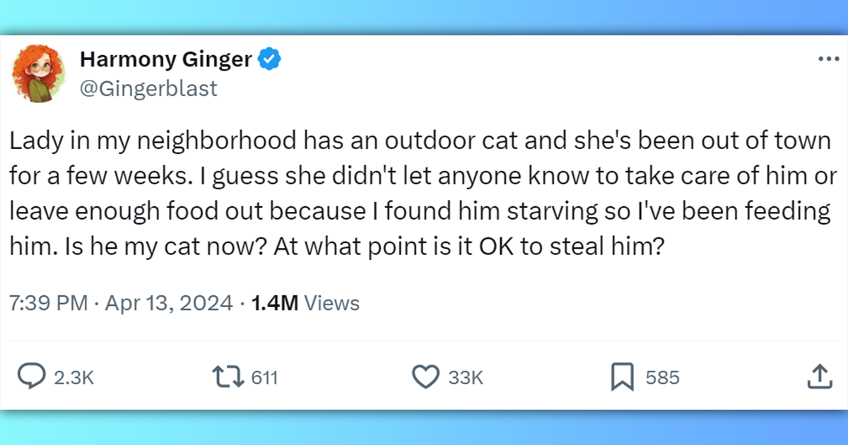 Woman Notices That Her Neighbor's Cat Is Suddenly Neglected And ...
