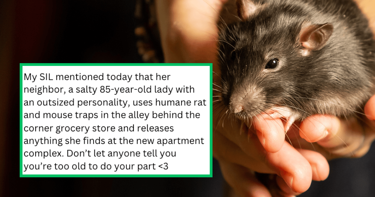 'Stick it to the man!': 85-Year-Old Granny Reverse-Gentrifies the ...