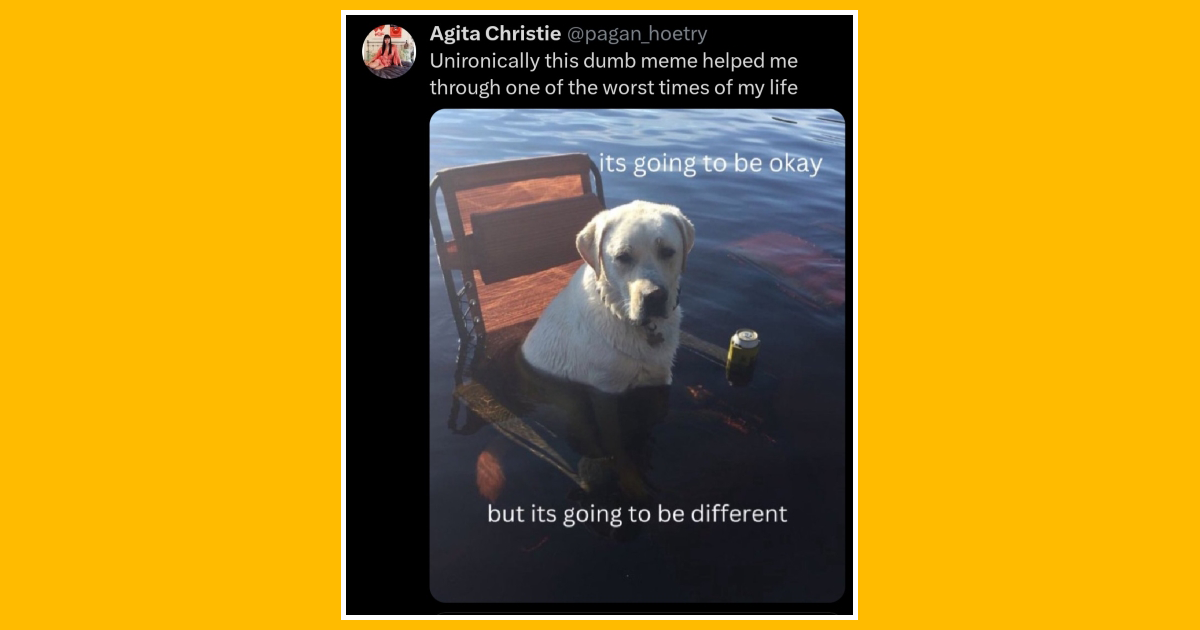 'New rule, never trust how you feel about your life past 9PM': 20 ...