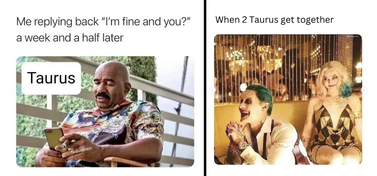 30 Totally Truthful Memes When You're Tempted To Date A Taurus ...