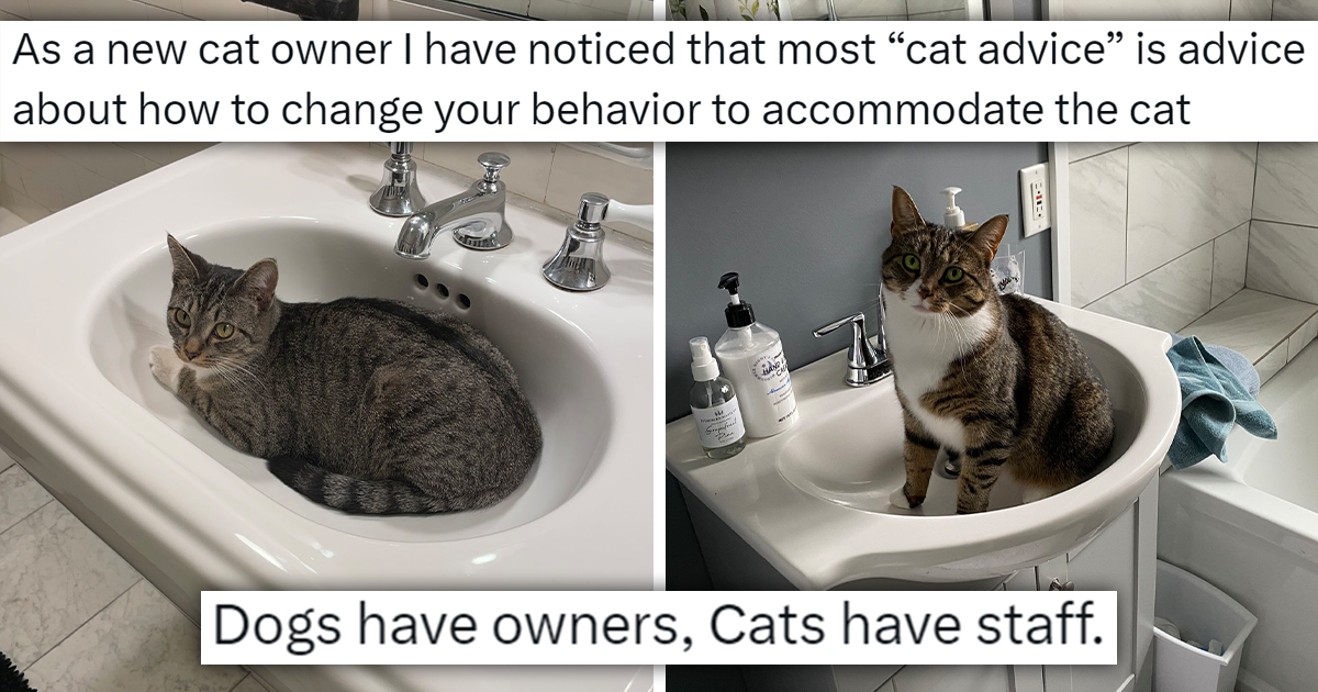 The Most Accurate And Useful (And Funniest) Pieces Of Advice For New ...