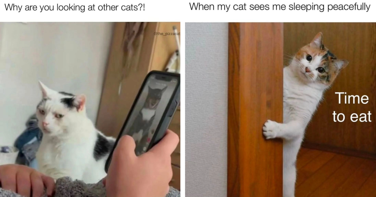 palingates: Did Sarah Palin name Trig after his genetic condition ...