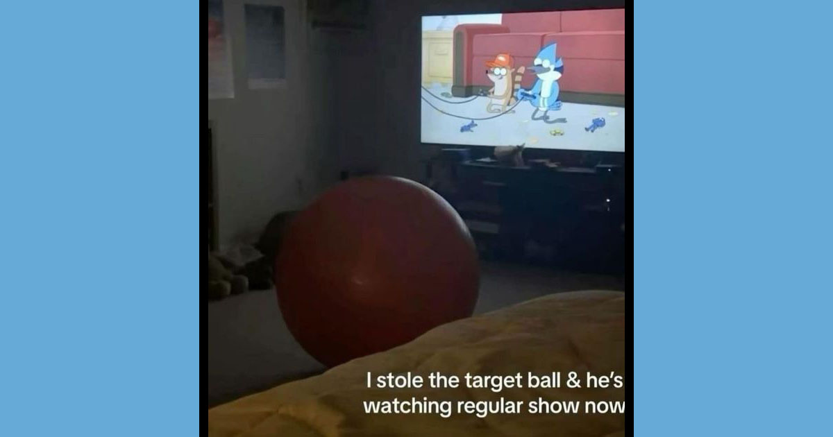 A Silly Silo of 30 Memes - Memebase - Funny Memes