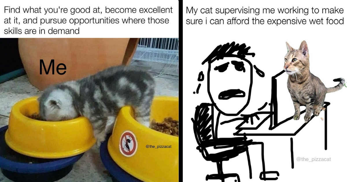 Feline Biscuit Bakery Filled With 32 Hissterical Cat Memes for Caturday ...