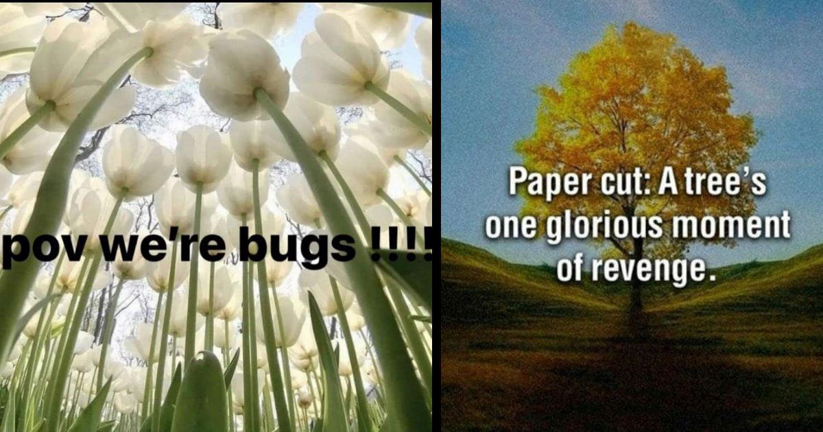 The Best Outdoorsy Nature Memes of the Week (May 2, 2024) - Memebase ...