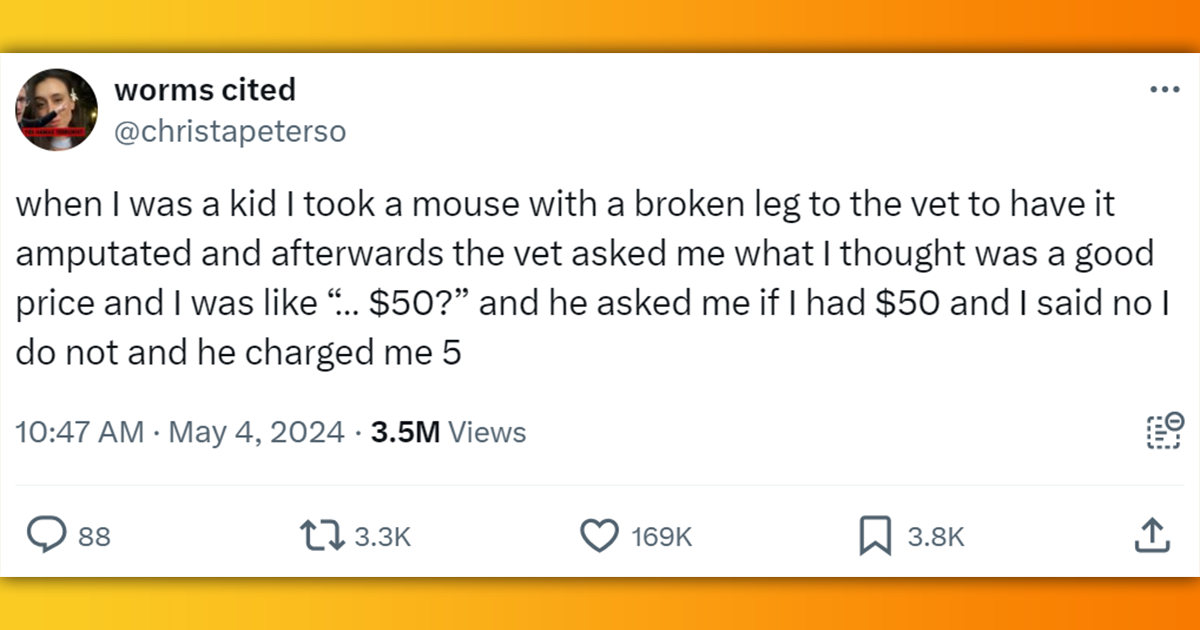 Adorable Kid Takes A Mouse With A Broken Leg To The Vet, The Kind Vet ...