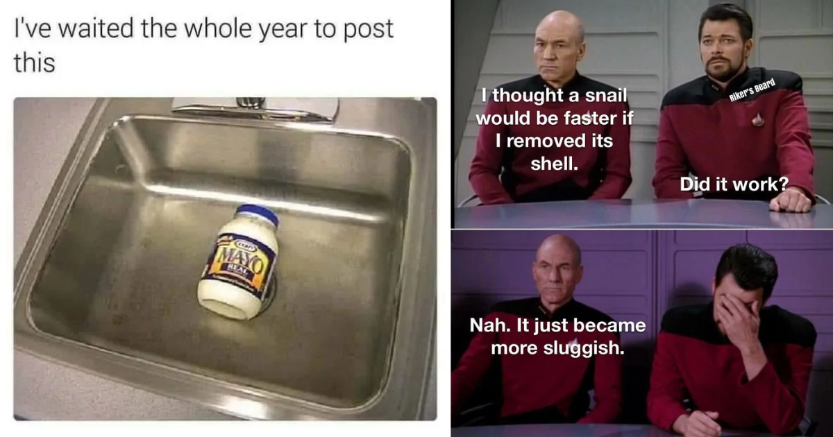 31 Immature Puns and Dad Jokes That Aren’t Fully Groan Yet (May 8, 2024 ...