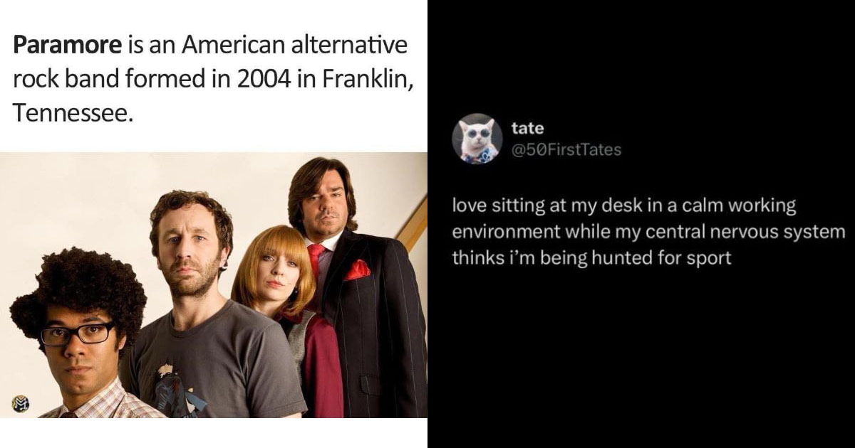 A Red Carpet Full of Memes Waiting to Strike a Pose - Memebase - Funny ...