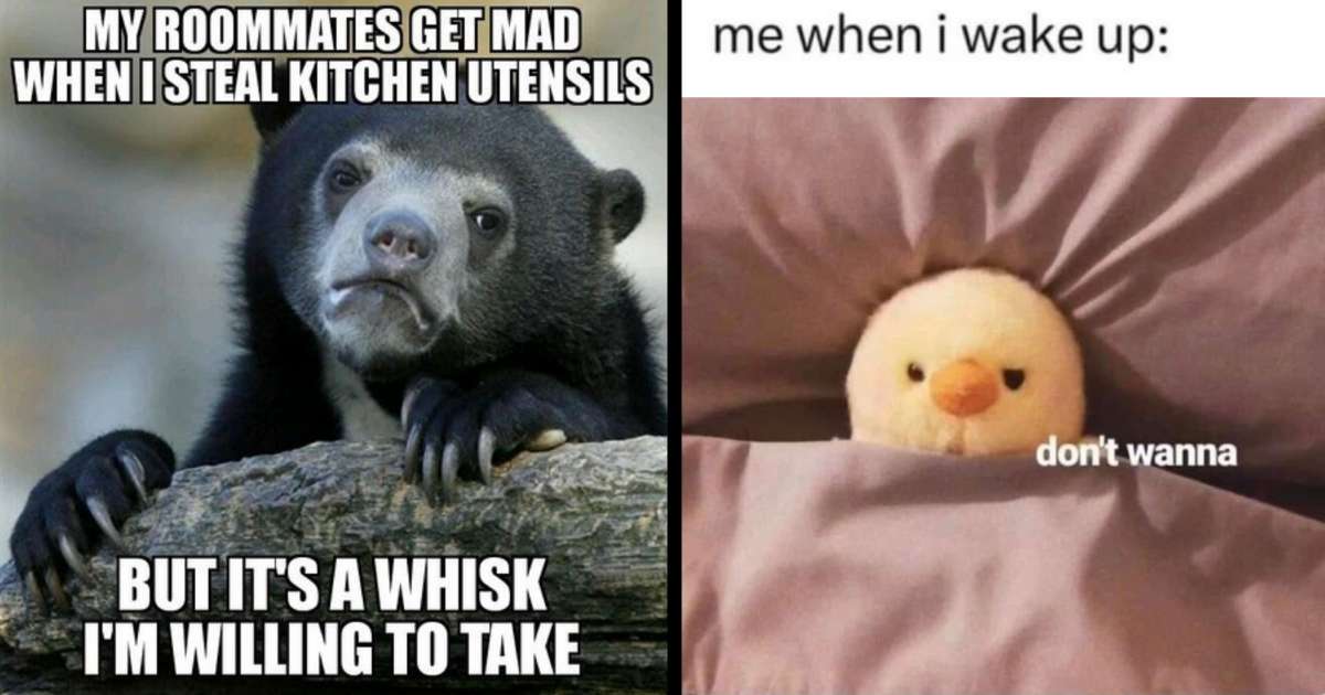 35 Flawlessly Funny Animal Memes Required to Relax and Recharge This ...