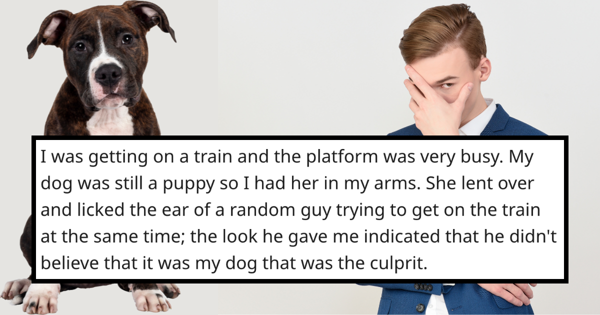 22 Embarrassing Confessions From Devoted Doggo Pawrents That Resulted ...