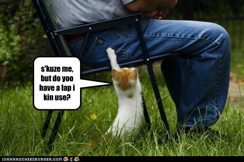 s'kuze me, but do yoo have a lap i kin use? - Cheezburger - Funny Memes ...