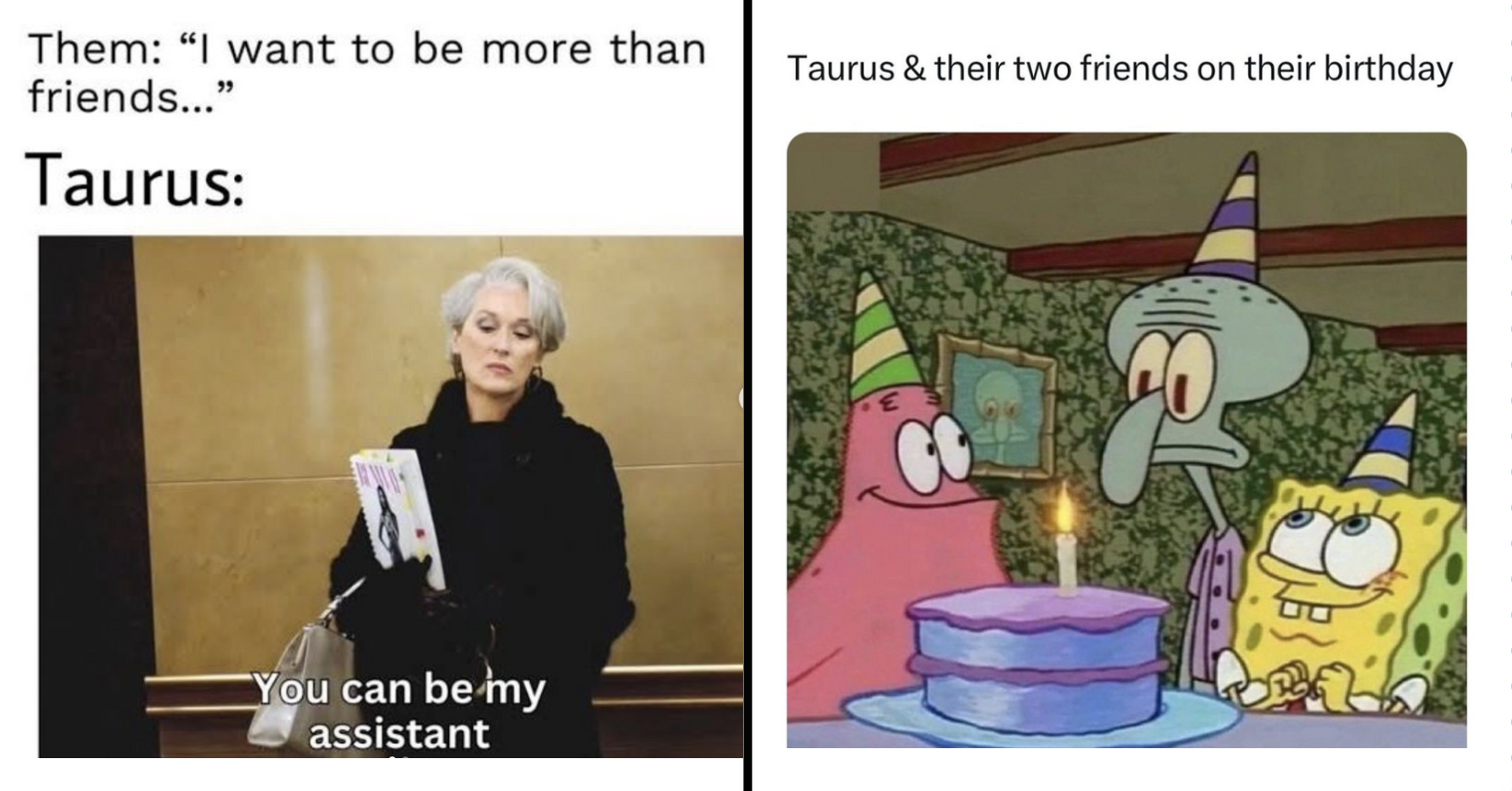 30 Totally True Memes On Why Taurus Has A Trusty Personality ...