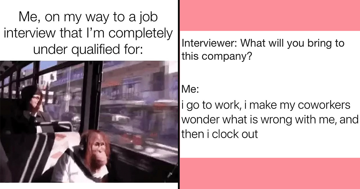 20+ Potential Employee Memes That Will Have You Laughing At the Job ...