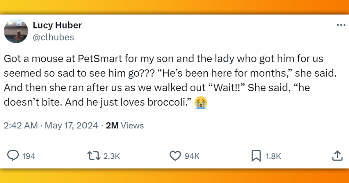 Employee At PetSmart Has A Hard Time Saying Goodbye To An Adopted Pet ...