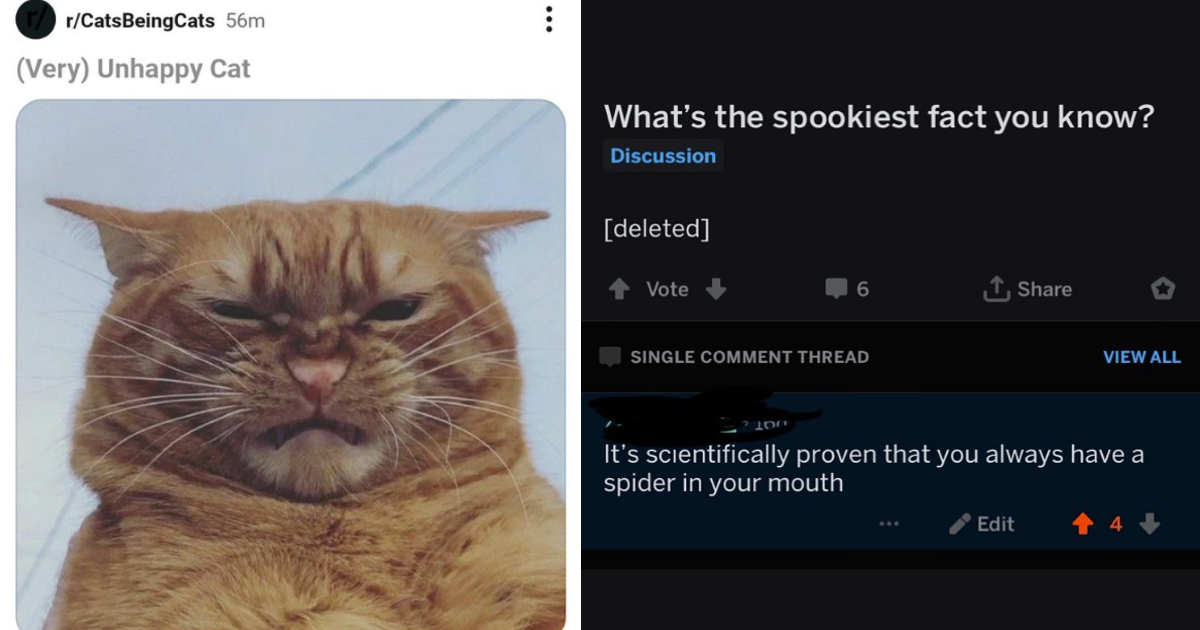 The Most Entertaining Reddit Posts of the Week (May 24, 2024 ...