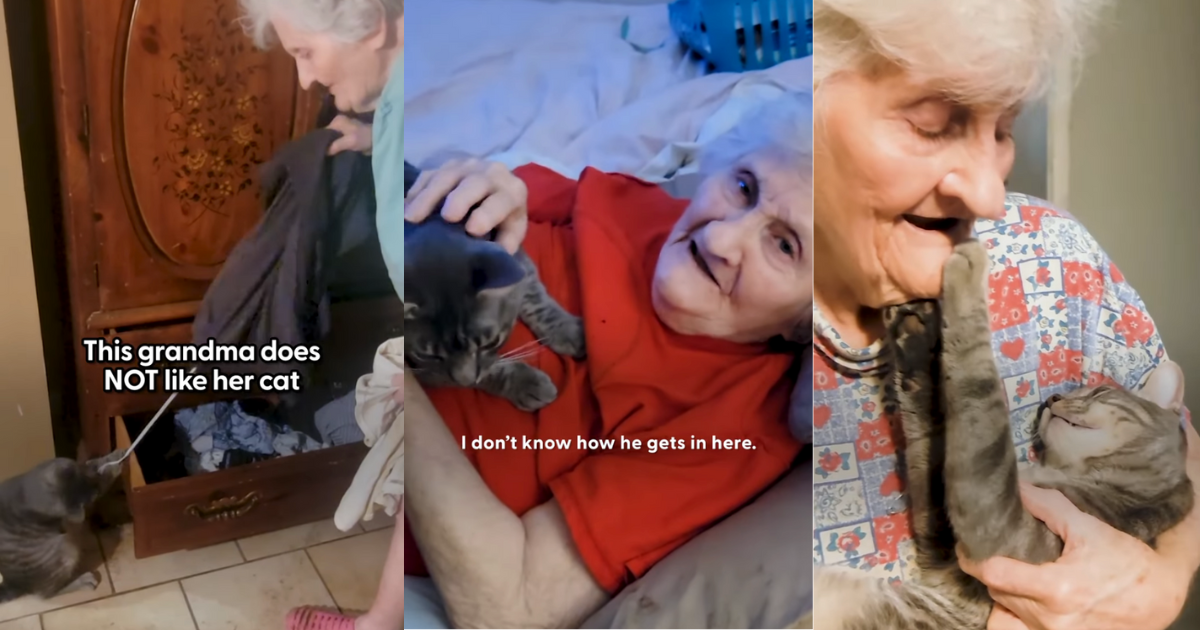 'I don't like him, I do this to everybody': Wholesome Grumpy Grandma ...