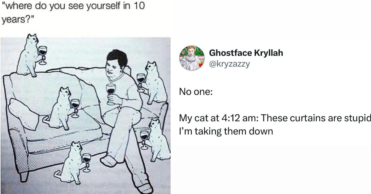 21 Fluffy Feline Funnies To Tackle The Tuesday Blues With Whimsical ...
