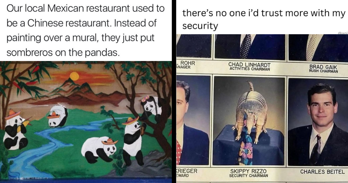 25 Hilarious Animal Memes to Hype Yourself Up For a Funny Friday ...