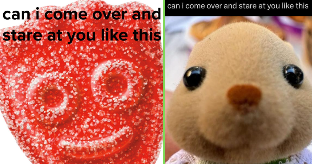 'Can I Come Over and Stare at You Like This' Memes to Send to an Extraordinary Obsession ...