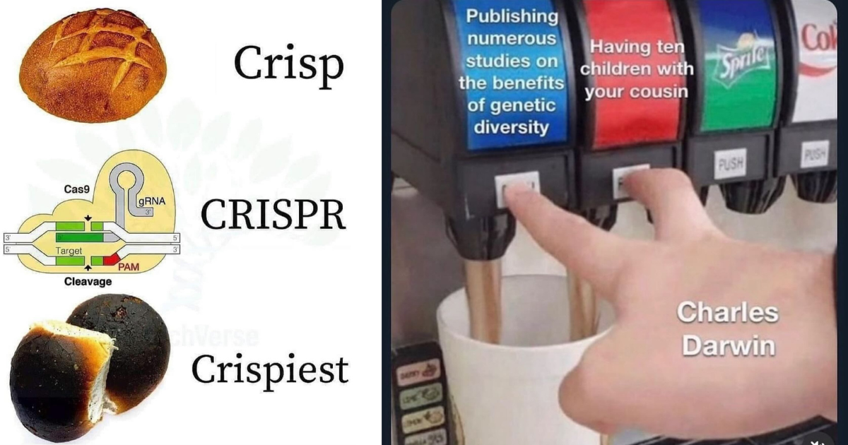 Lab, Laugh, Love: 32 Scientifically Approved Memes for Your Reaction ...