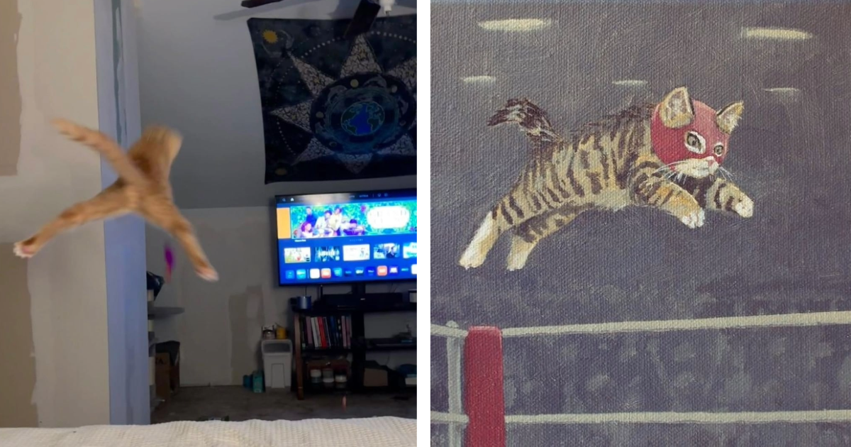 22 Fangtastic Feline Funnies of Cats Living Their Best Lives To Inspire ...