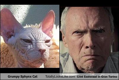 Memebase - Funny Memes