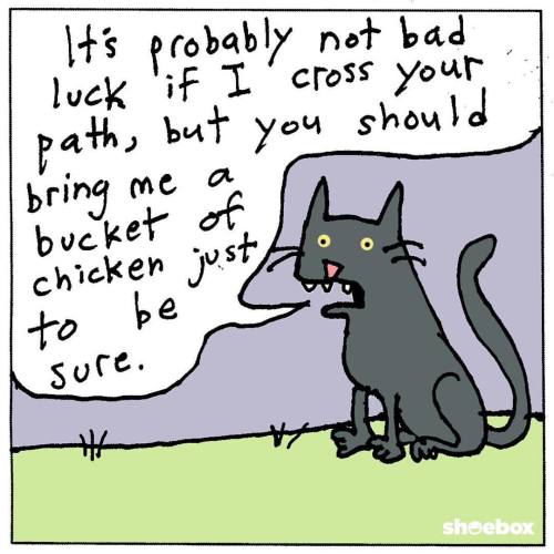 13 Weird Animal Superstitions - I Can Has Cheezburger?