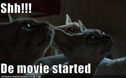 Shh!!! De movie started - Cheezburger - Funny Memes | Funny Pictures
