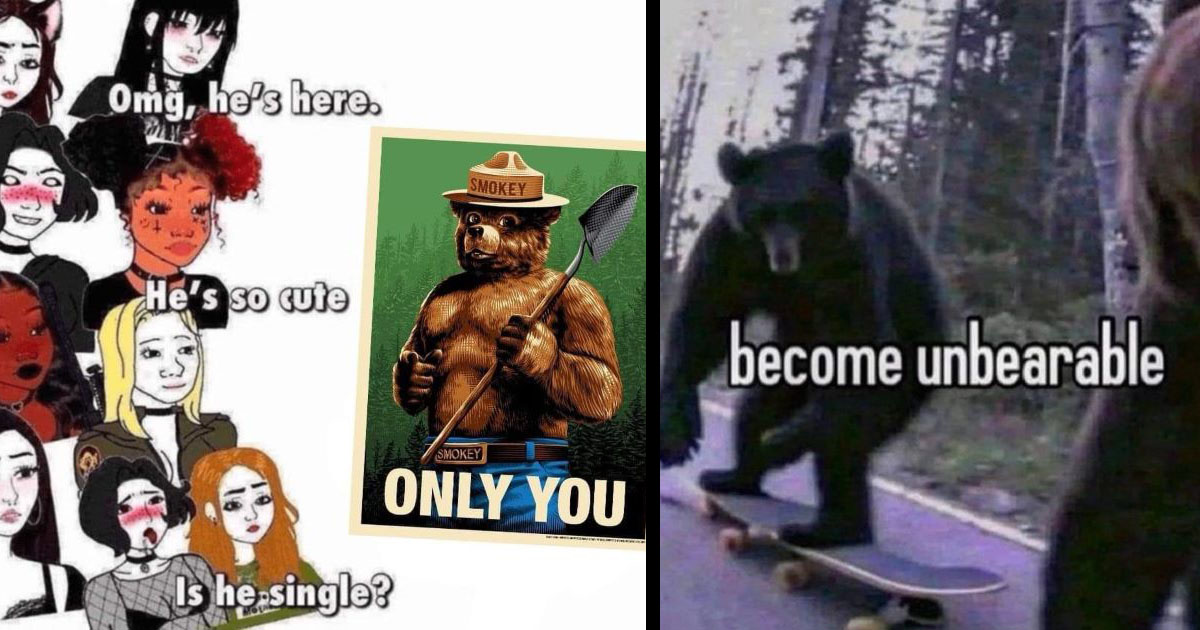 25 Bear Memes For Women Who Would Choose The Bear - Memebase - Funny Memes