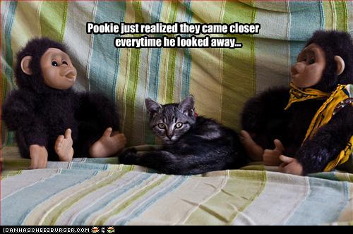 Pookie just realized they came closer everytime he looked away ...