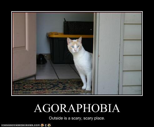 AGORAPHOBIA - Cheezburger - Funny Memes | Funny Pictures