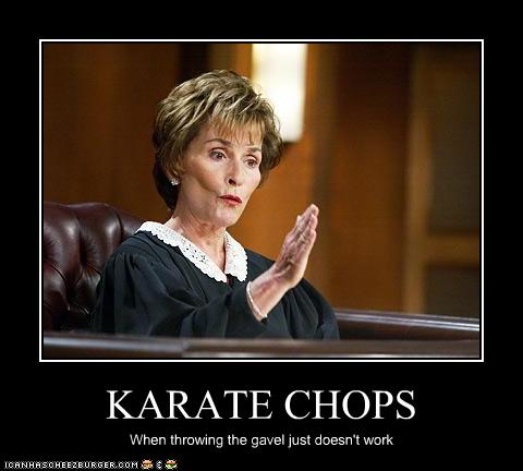 KARATE CHOPS - Cheezburger - Funny Memes | Funny Pictures