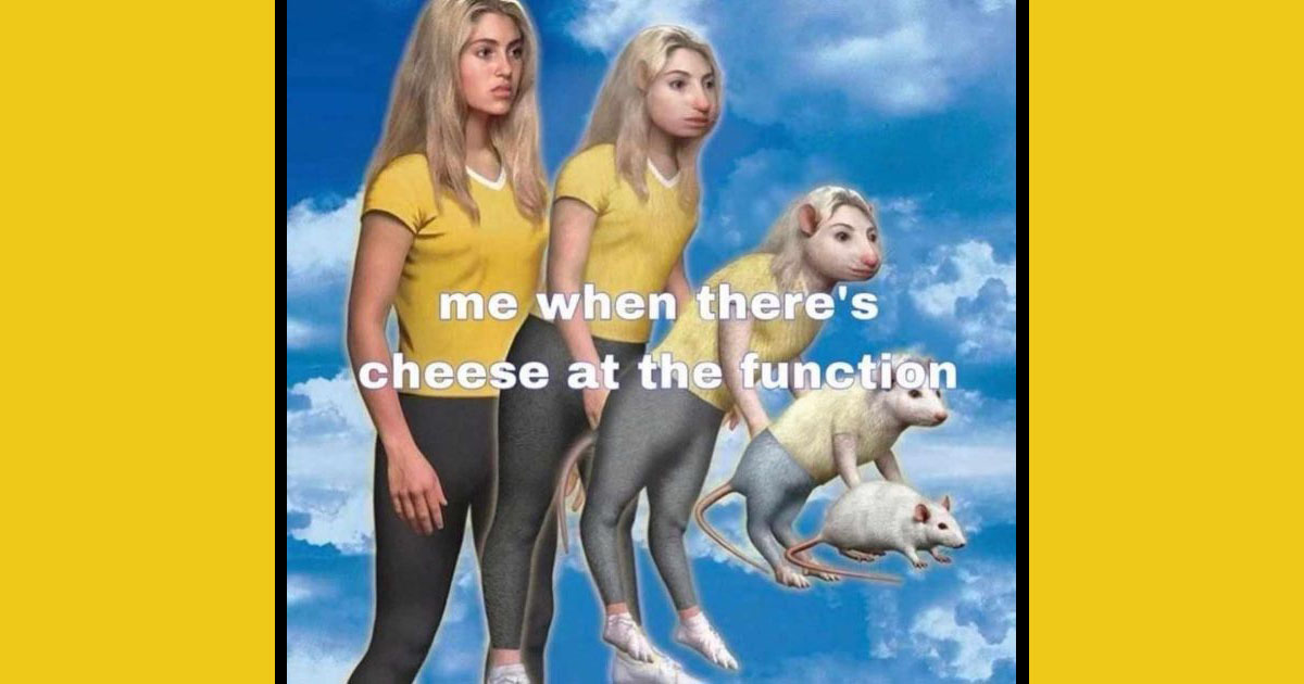 A Rolodex of Memes For Quick Viewing - Memebase - Funny Memes