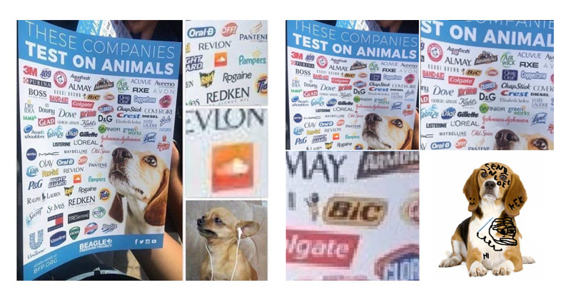 Dank Meme Roundup: These Companies Test On Animals - Memebase - Funny Memes