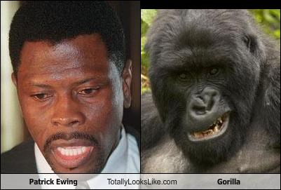 Patrick Ewing Totally Looks Like Gorilla - Cheezburger - Funny Memes ...