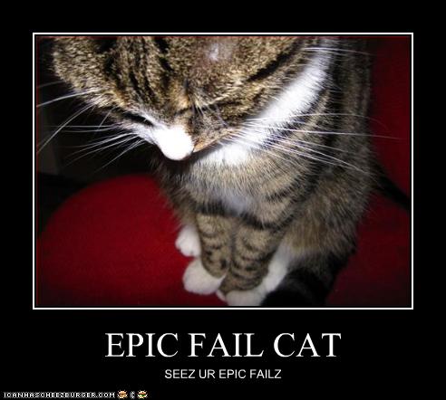 Epic Fail Cat Funny Animal Video