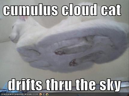 cumulus cloud cat drifts thru the sky - Cheezburger - Funny Memes ...