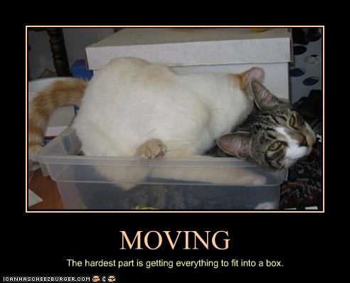 Packing Moving Funny