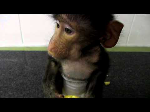 Daily Squee - Cute Animals - Cute Baby Animals - Cute Animal Pictures ...