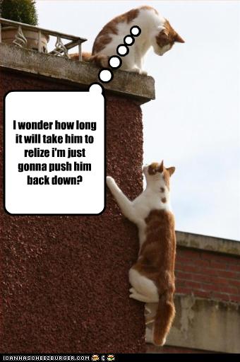 I wonder how long it will take him to relize i'm just gonna push him ...