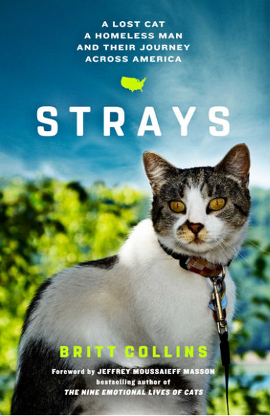 “Strays” is a New Book About a Lost Cat, Homeless Man And Their Journey ...