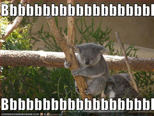 Bbbbbbbbbbbbbbbbbbbbbbbbbbbbbbb Bbbbbbbbbbbbbbbbbbbbbbbbbbbbbbbbb ...