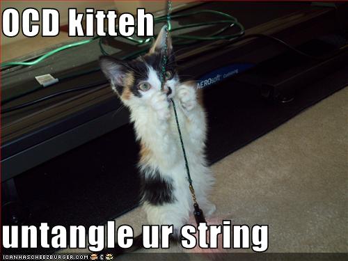 OCD kitteh untangle ur string - Cheezburger - Funny Memes | Funny Pictures