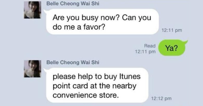 Clever Guy Gets Text From Scammer and Trolls Them Till They Lose It ...