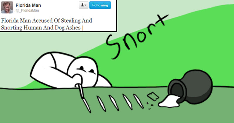 10 Hilarious Comics Inspired By Crazy "Florida Man" News Headlines ...