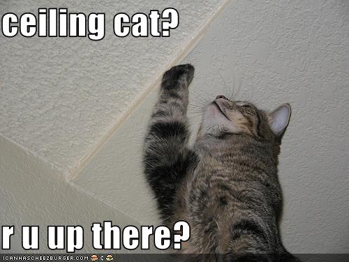 Ceiling Cat Meme