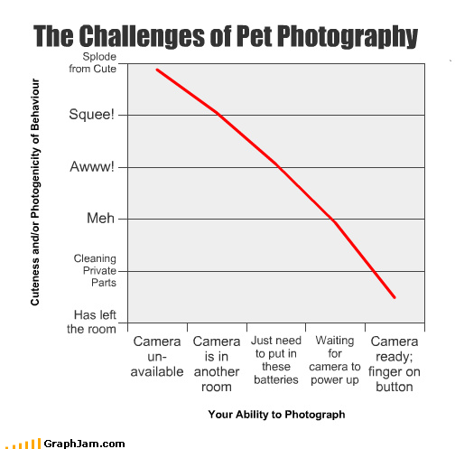 GraphJam - photography - funny graphs - Cheezburger
